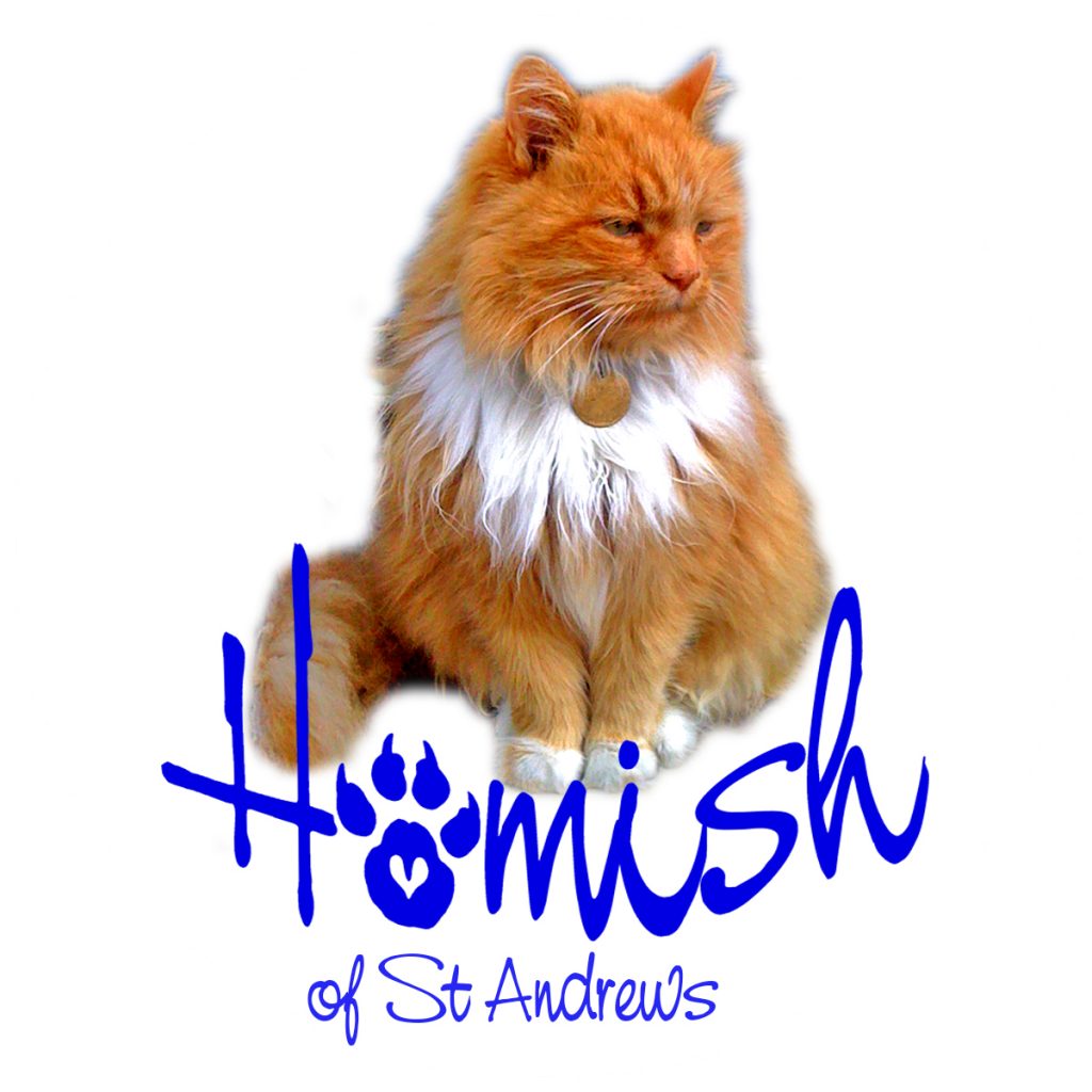 The Hamish Foundation, St Andrews, Fife